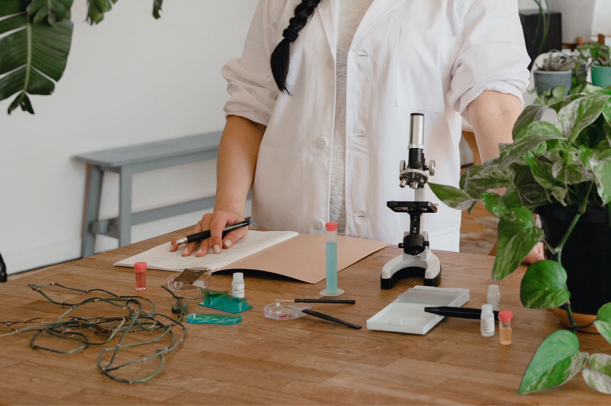 Como funciona un laboratorio de medicina natural